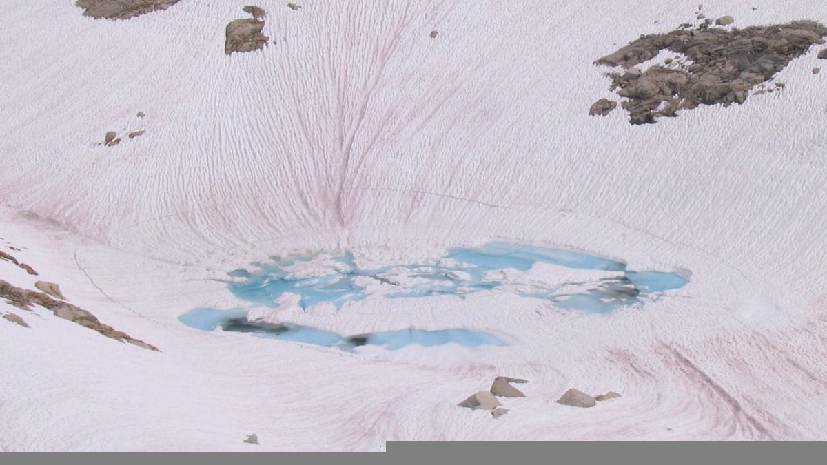 What is Watermelon Snow? - Ocean Conservancy