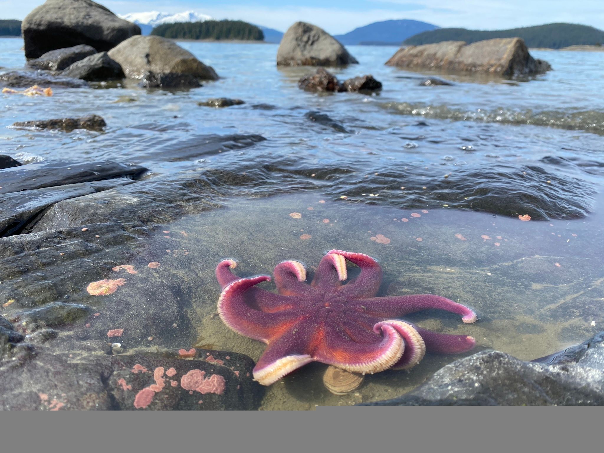 How Will Climate Change Impact the Next Generation? - Ocean Conservancy