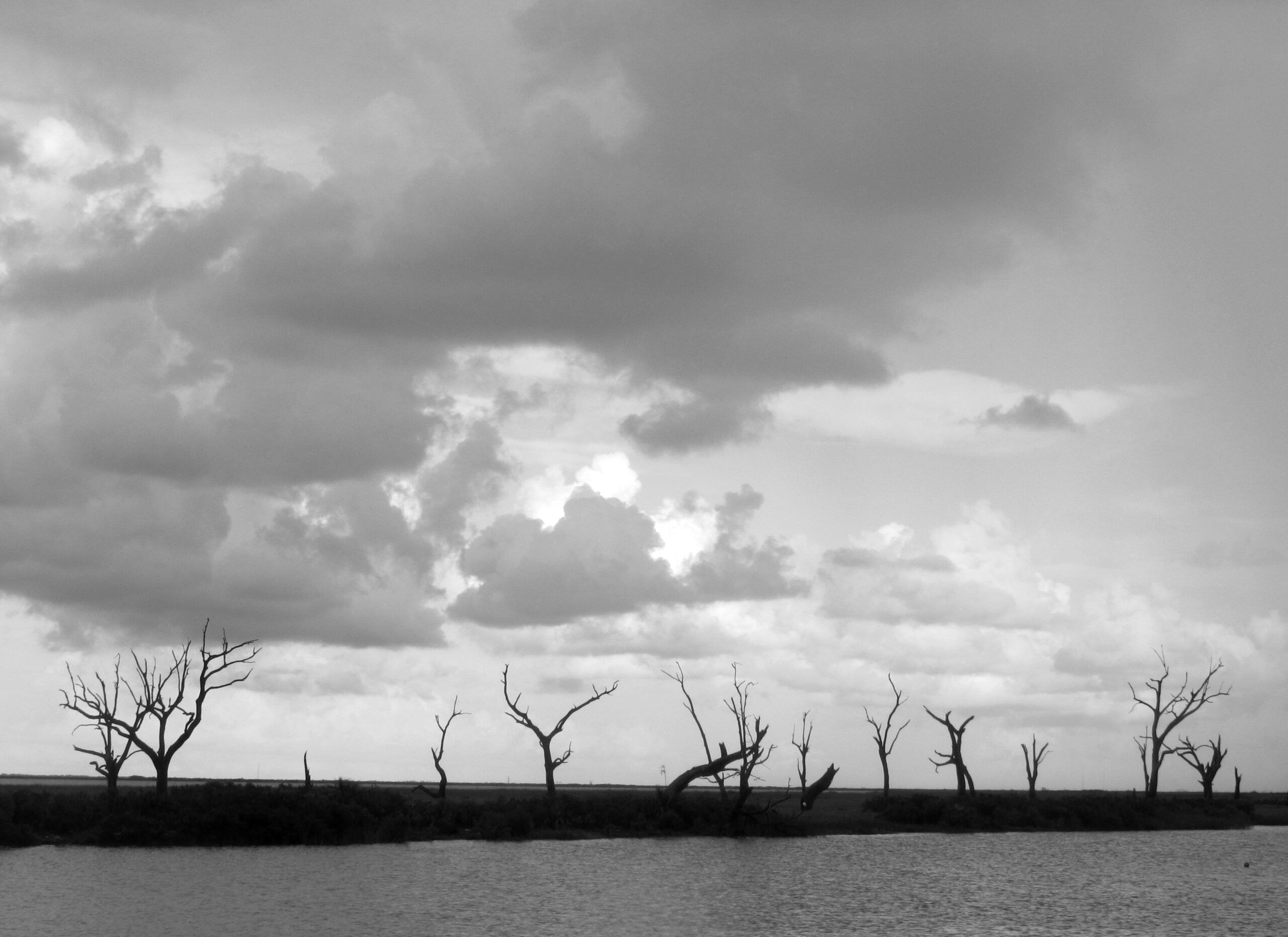 Q&A With Writer and Pulitzer Finalist Elizabeth Rush - Ocean Conservancy