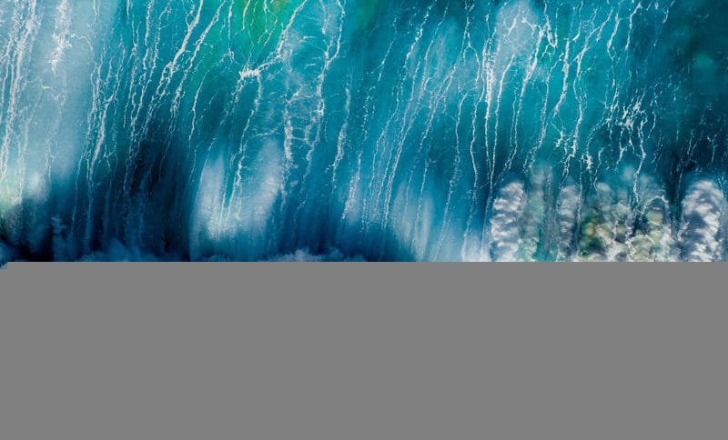 Celebrate National Ocean Month With Us - Ocean Conservancy