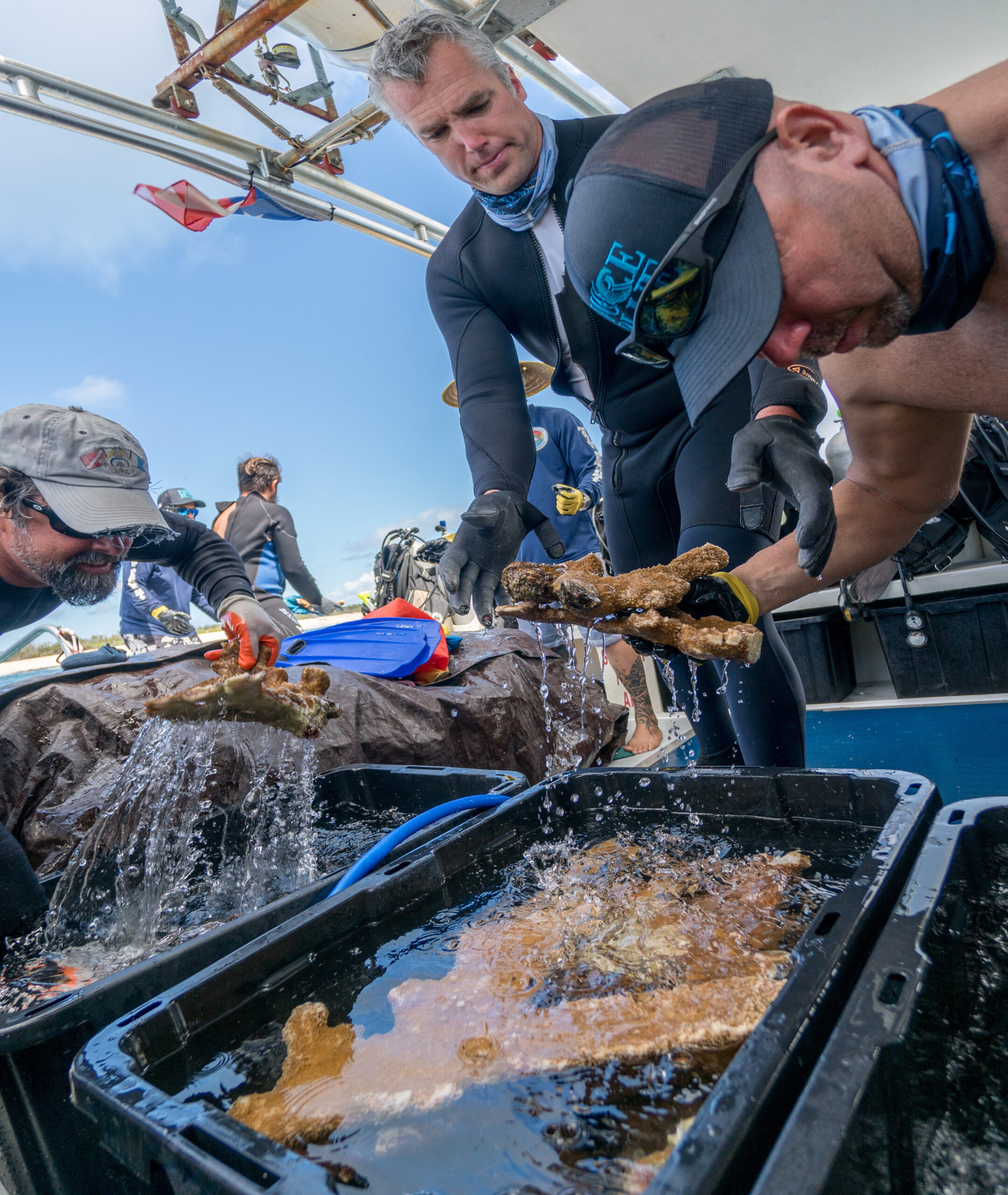 The Recon Force of the Ocean - Ocean Conservancy