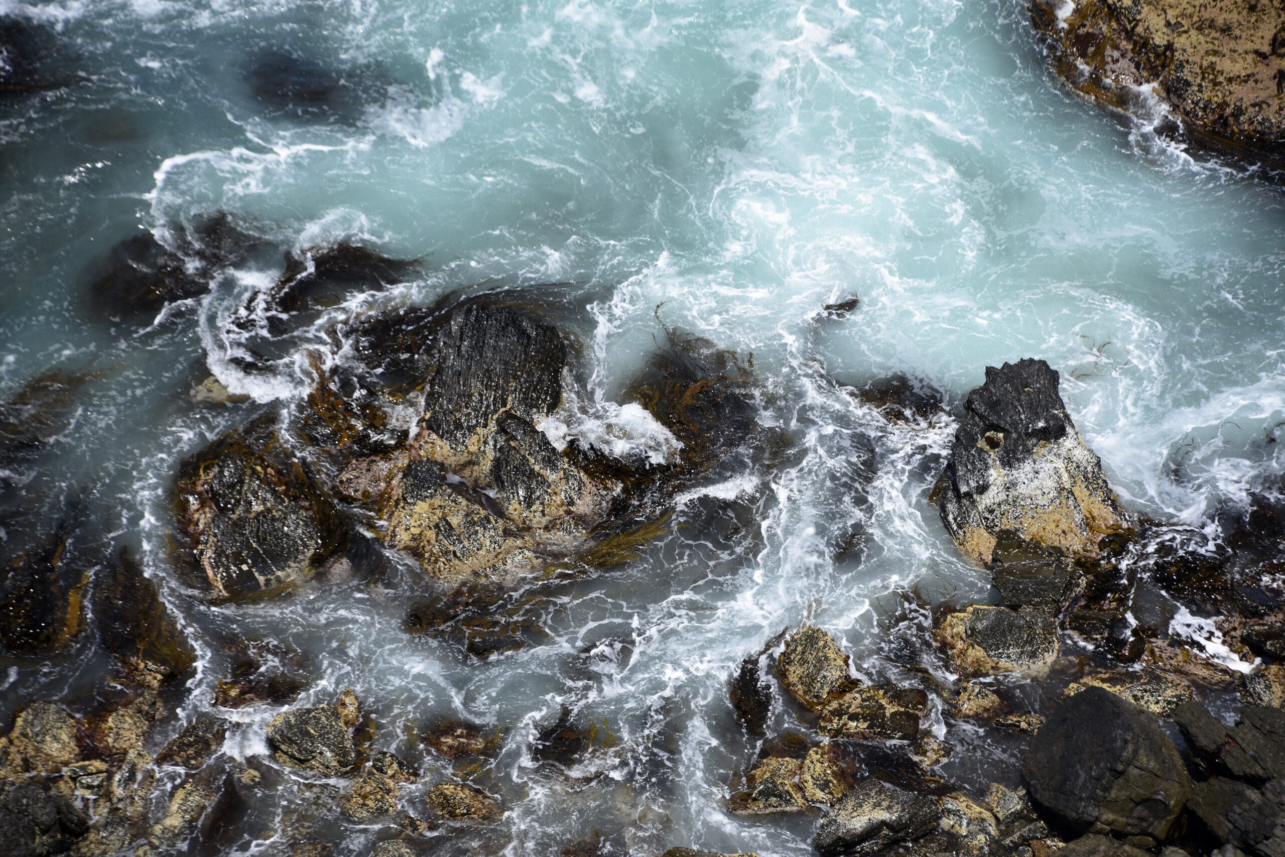 Sometimes Acidification Research Requires a Scrub Brush - Ocean Conservancy