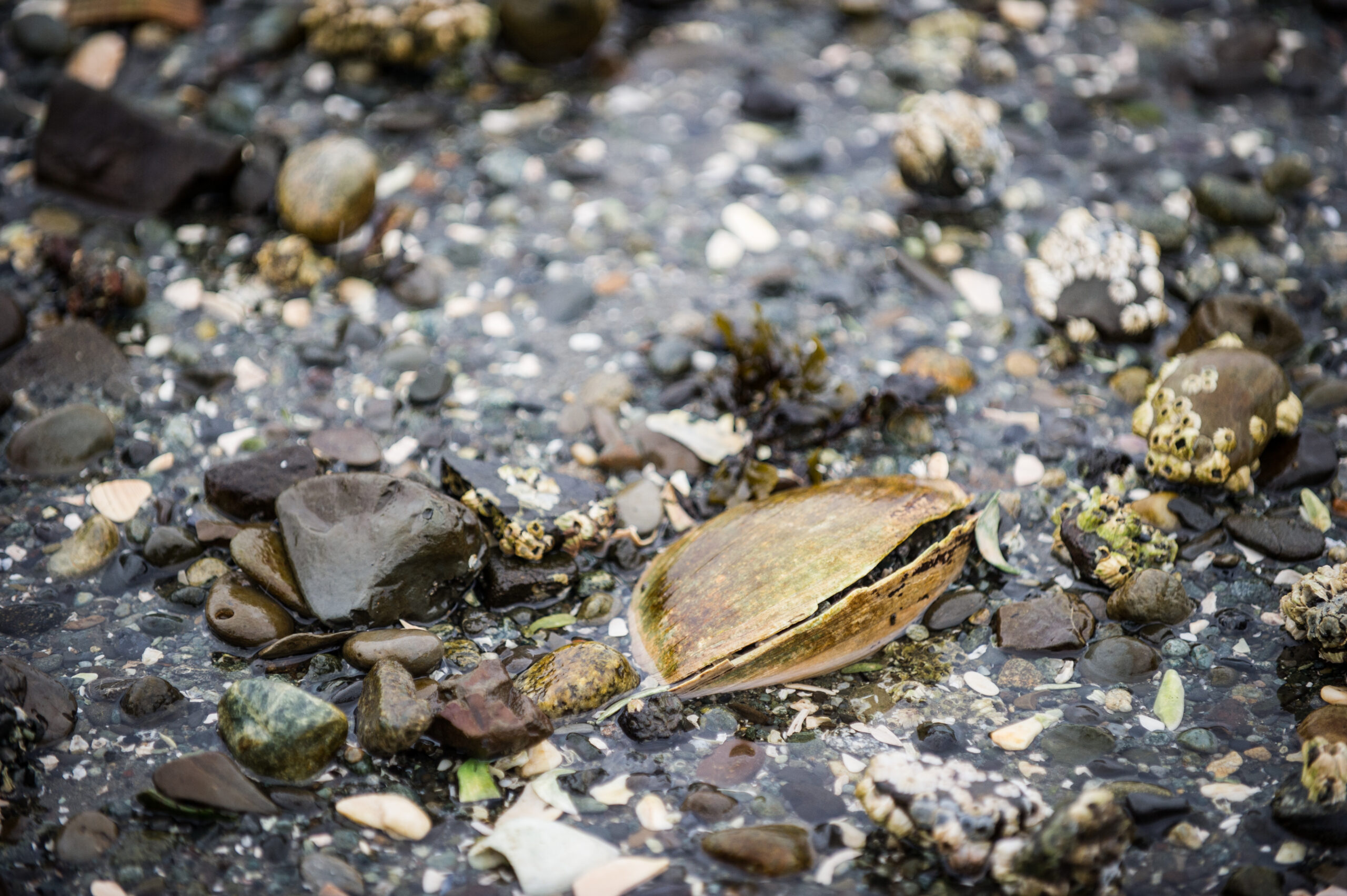 Hot Takes on Ocean Climate Change and Acidification - Ocean Conservancy