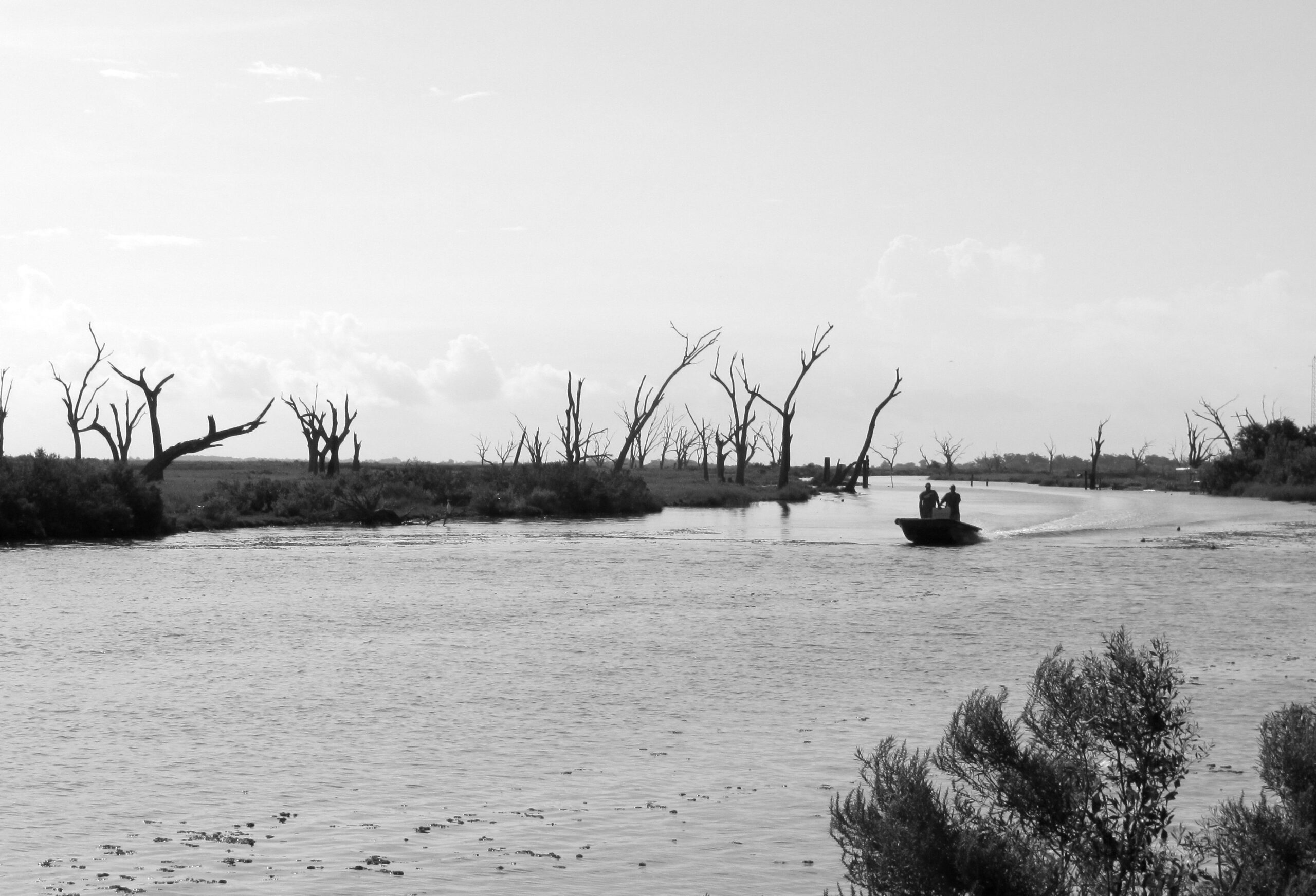 Q&A With Writer and Pulitzer Finalist Elizabeth Rush - Ocean Conservancy