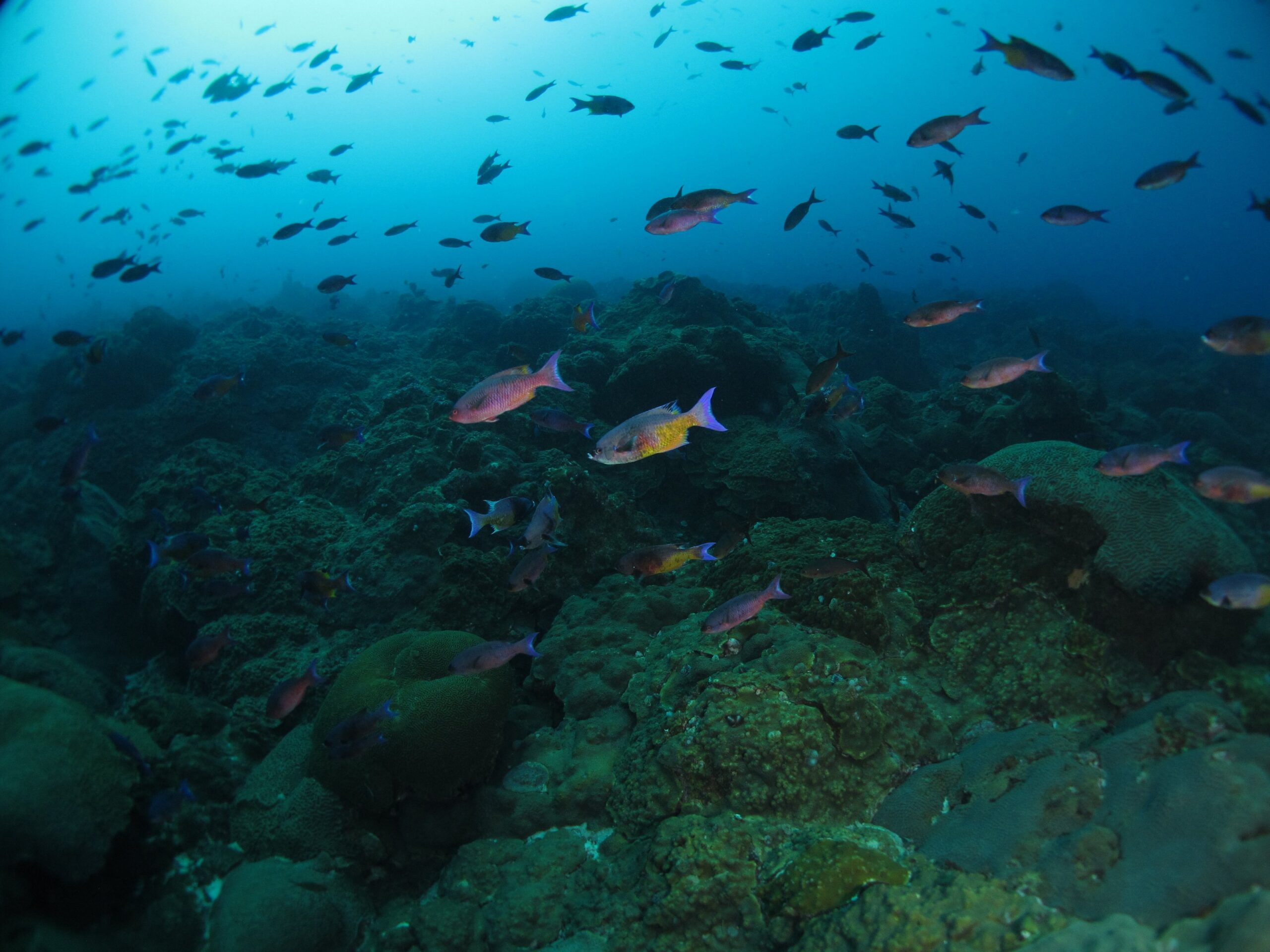 Americans Agree: No Risky Offshore Drilling - Ocean Conservancy