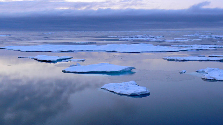 STATEMENT: Deep-Sea Mining Threatens Alaska’s Ocean Future - Ocean ...