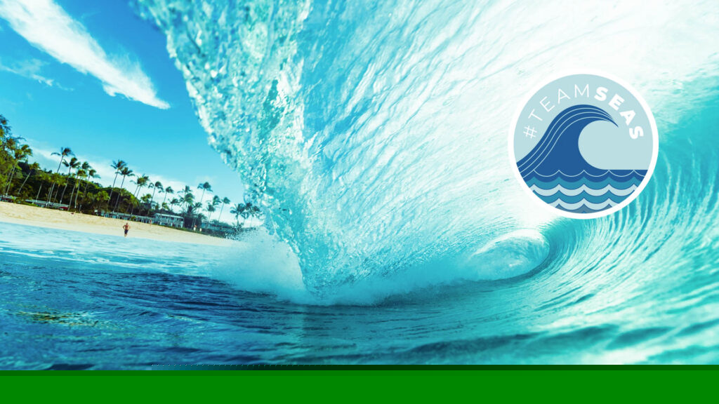 Ocean Conservancy Announces Participation in #TeamSeas Campaign