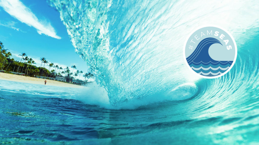 Ocean Conservancy Announces Participation in #TeamSeas Campaign