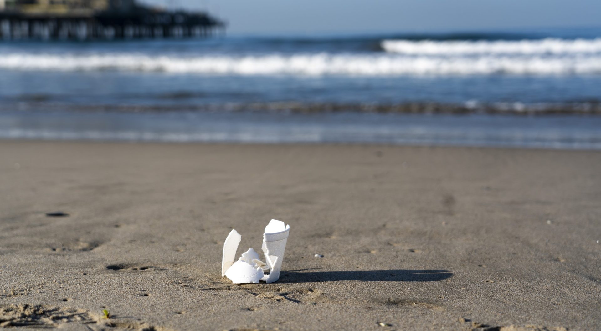 What The Foam?! - Ocean Conservancy