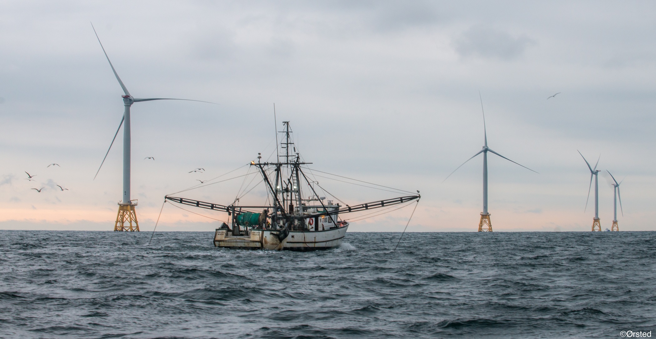 U.S. offshore wind energy faces headwinds - Ocean Conservancy