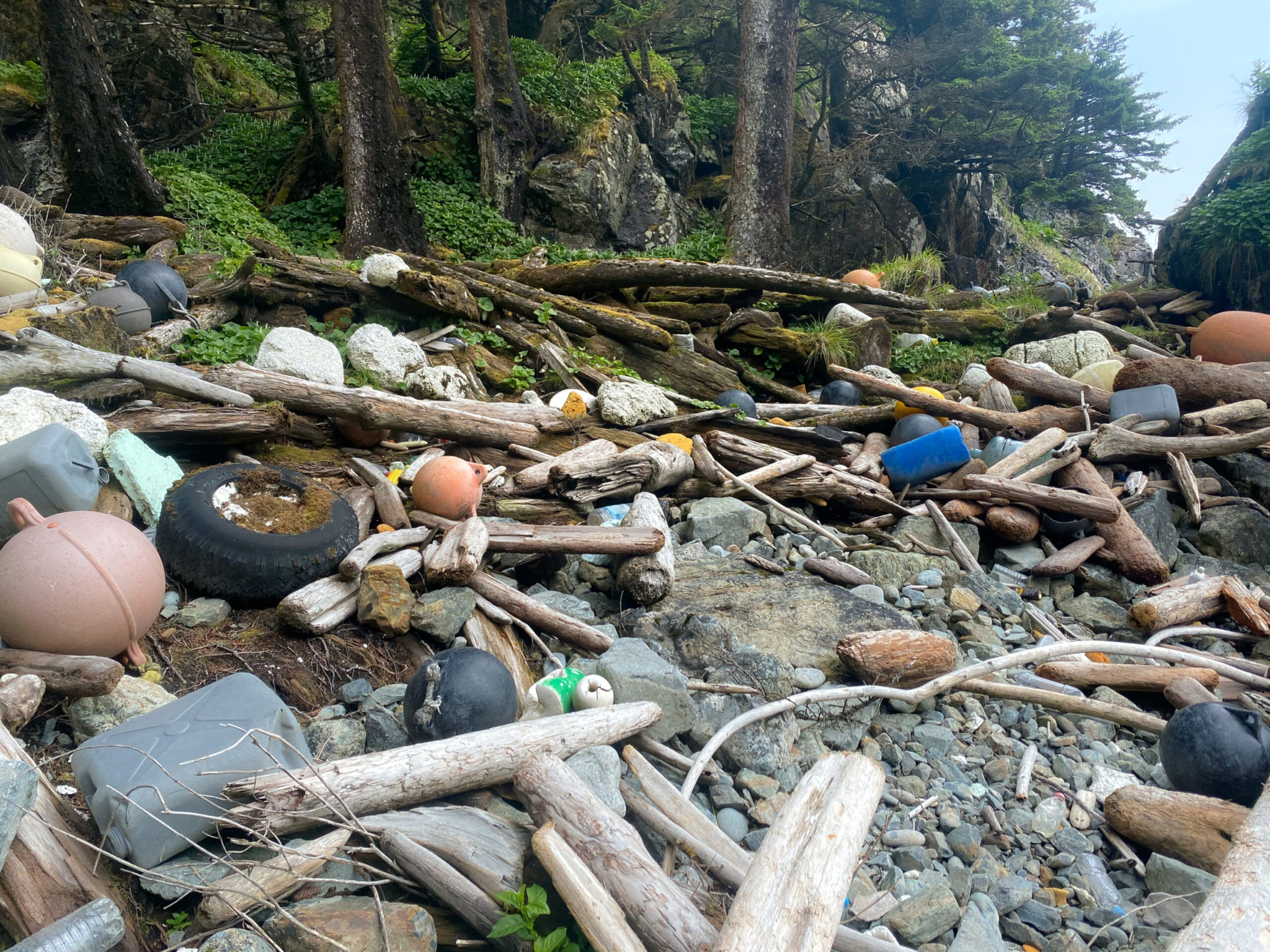 NEWS: NOAA to Award Ocean Conservancy $5.2M to Remove Large Debris from ...