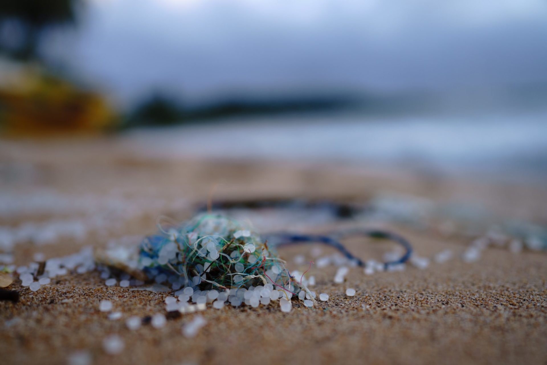 Microplastics Q&A with Ocean Conservancy Scientists, Author Matt Simon