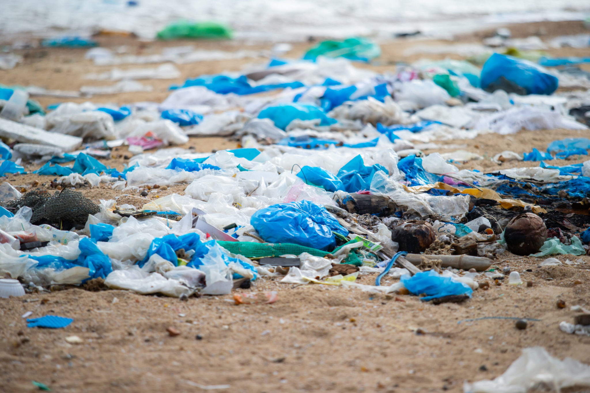 Ahead of Plastics Treaty Meeting, Ocean Conservancy Slams Chemical ...