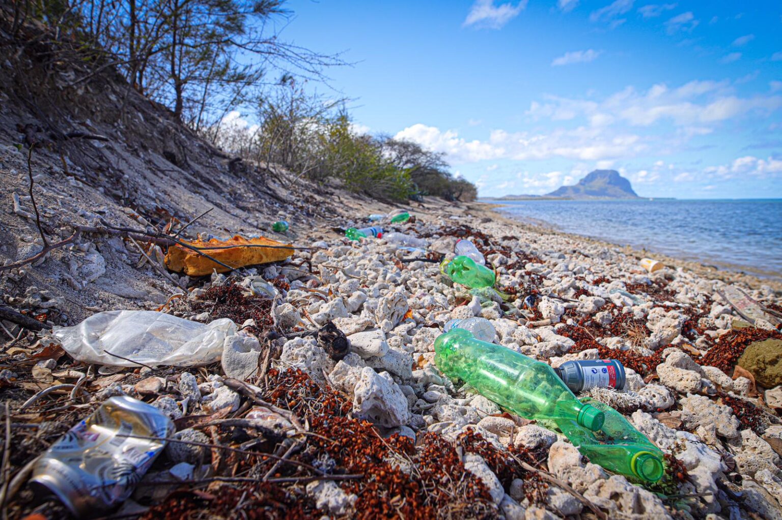 Ocean Conservancy Response to Plastics Treaty Zero Draft - Ocean ...