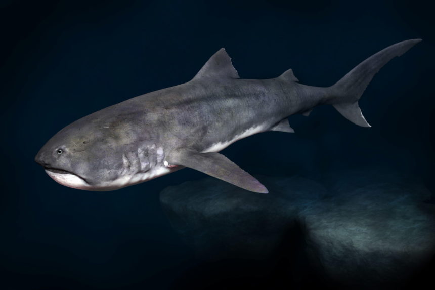 Fisheries - Ocean Conservancy