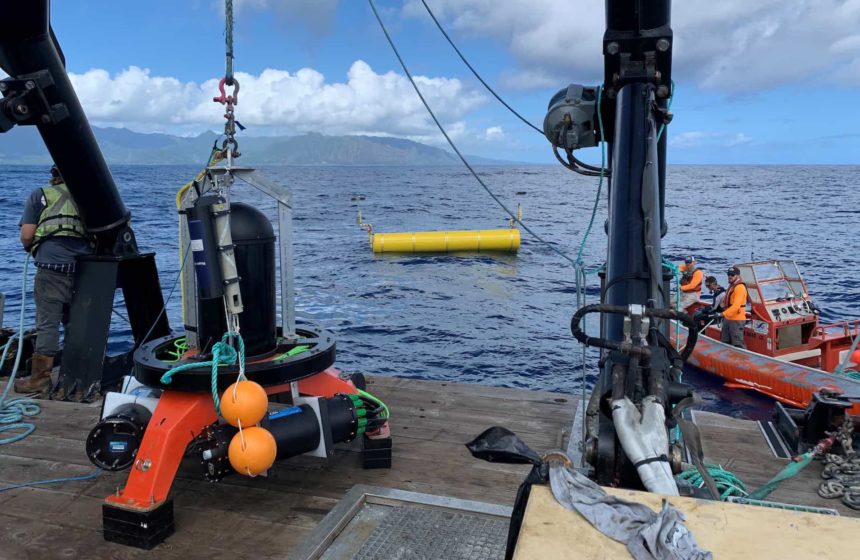 The Effects of Wave and Tidal Energy - Ocean Conservancy