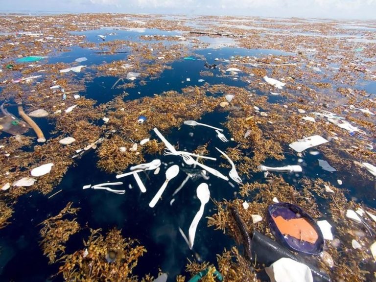 STATEMENT: New Plastics Treaty Chief Means Negotiators ‘Can Get Back to ...