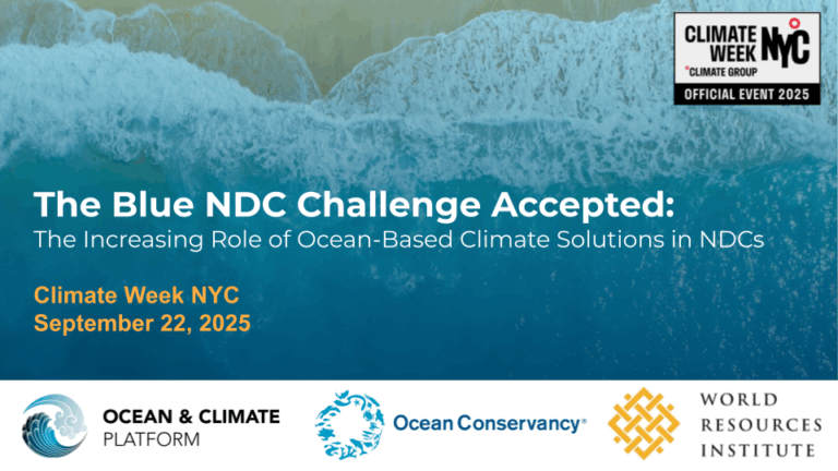 NEWS: Chile, UK and Madagascar Join Global Effort to Put the Ocean at ...