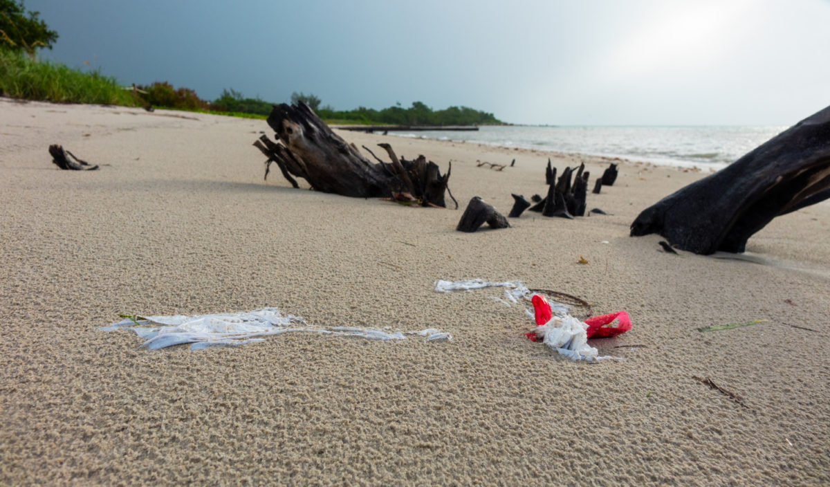 History - Ocean Conservancy