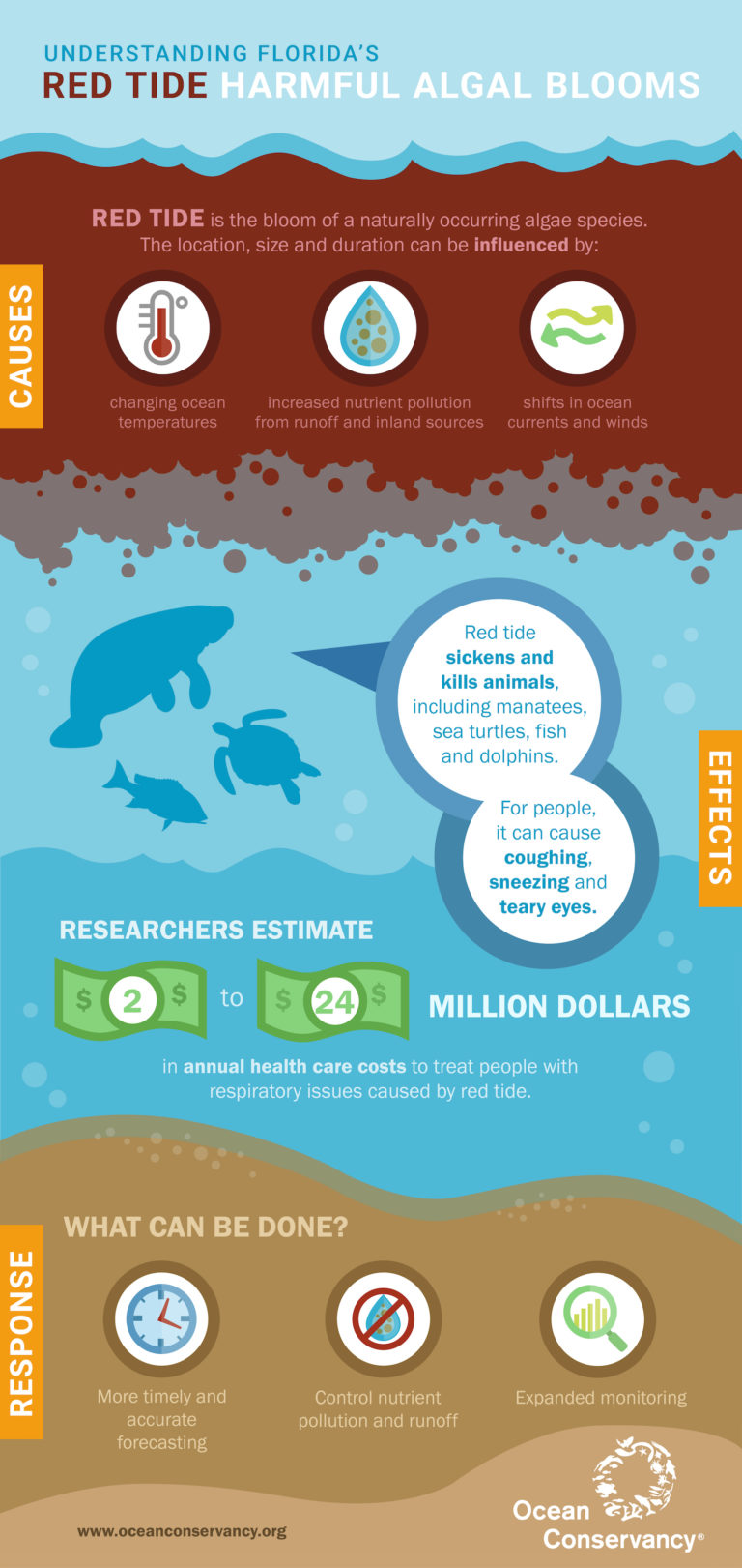 Florida Harmful Algal Bloom Crisis - Ocean Conservancy