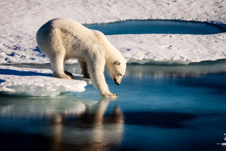 Risky Drilling - Ocean Conservancy