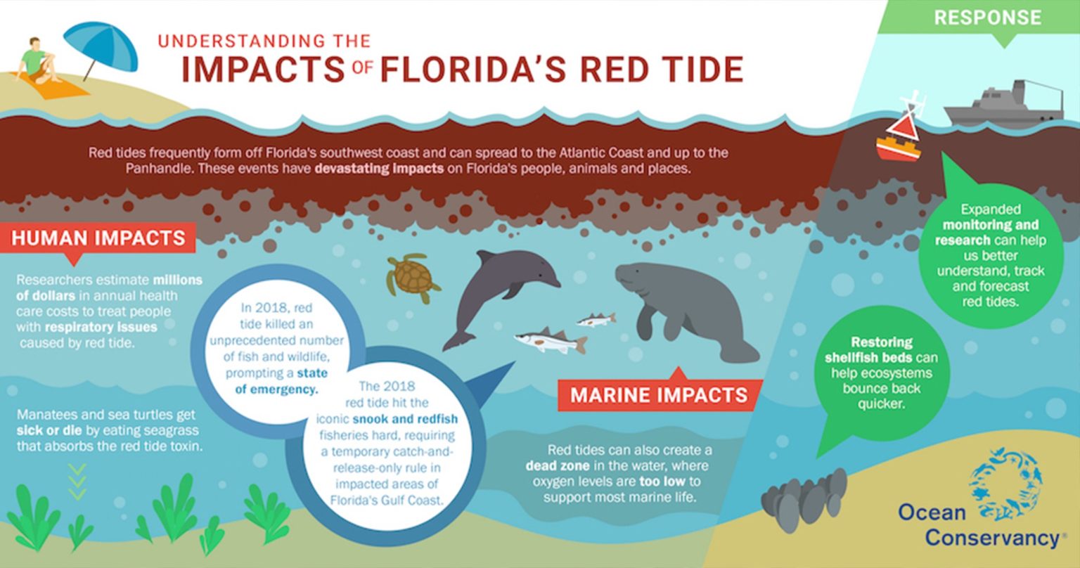 Florida Harmful Algal Bloom Crisis - Ocean Conservancy