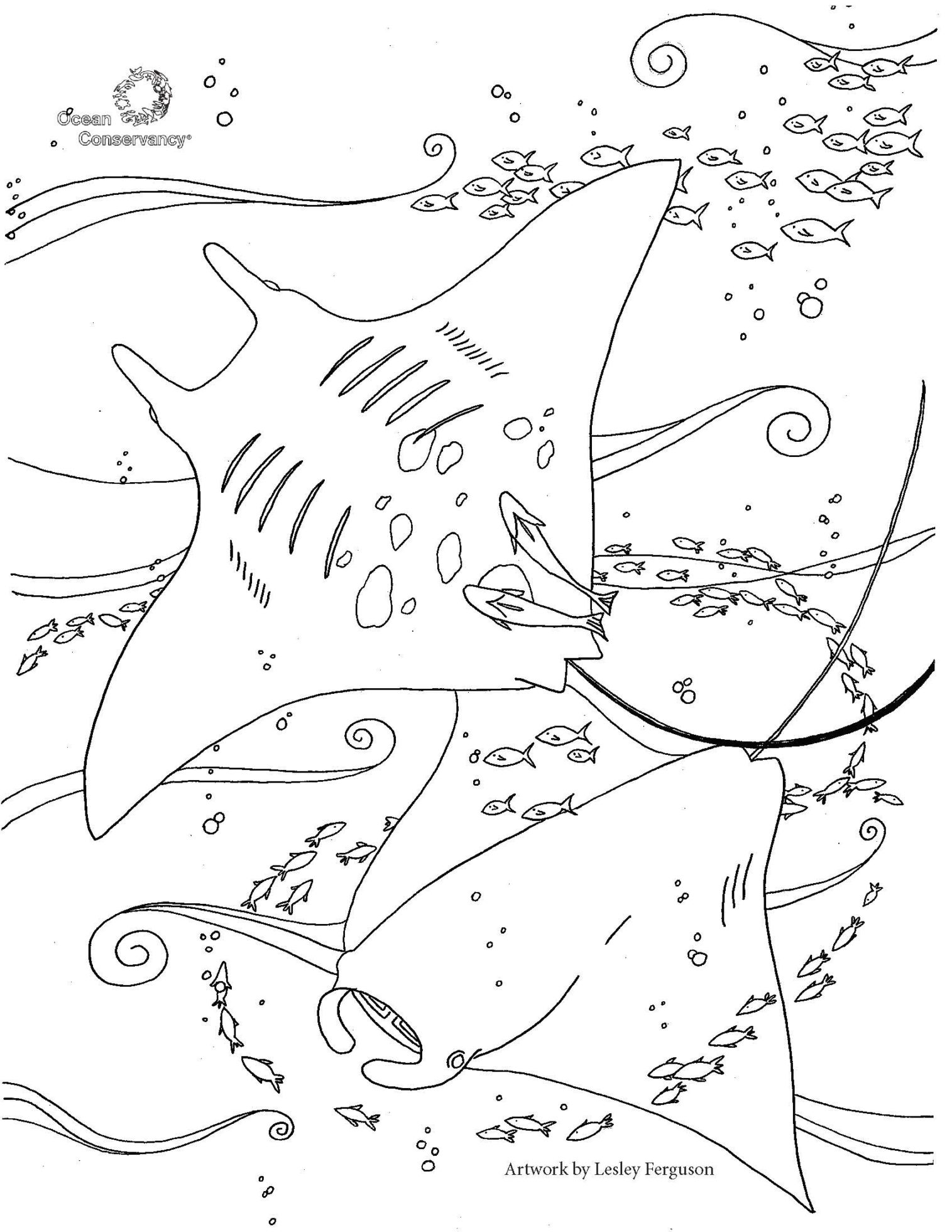 Fish Coloring Pages - Ocean Conservancy