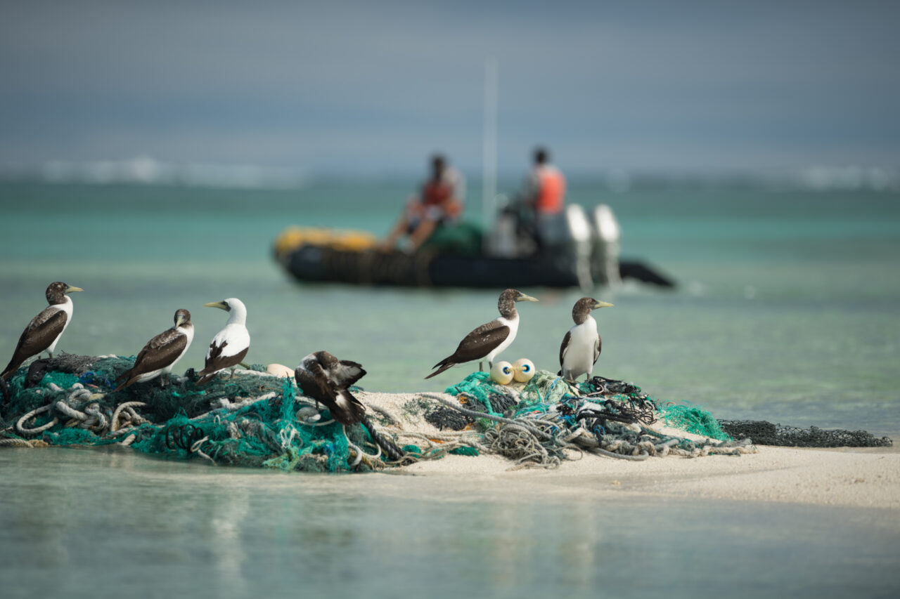 Homepage - Ocean Conservancy