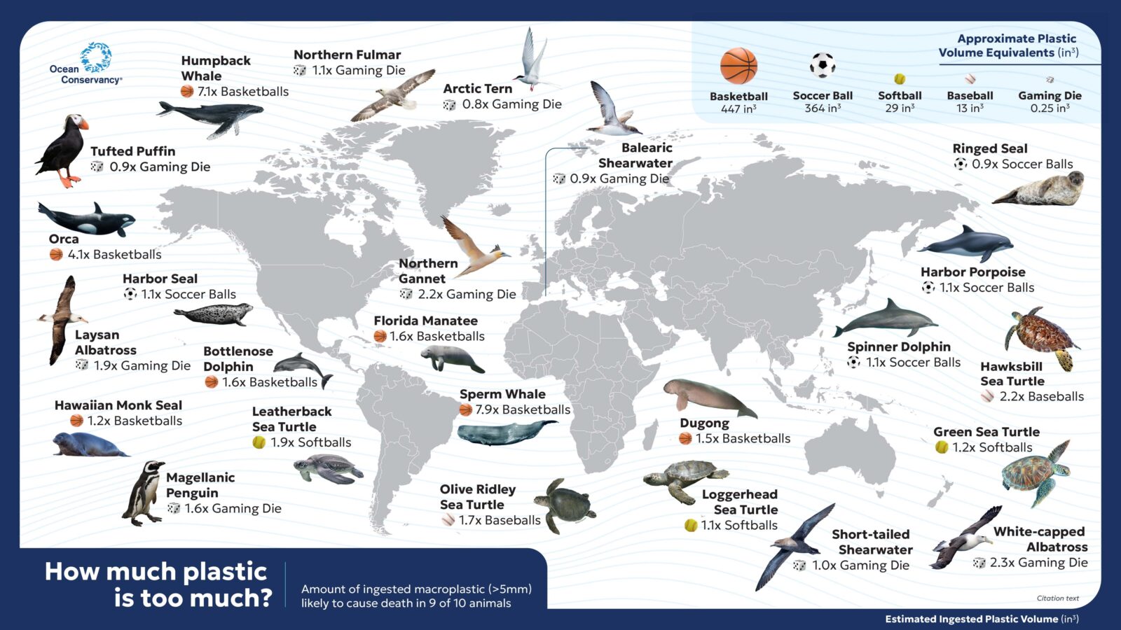 Modeling Wildlife Mortality Risks From Ingested Plastics - Ocean ...