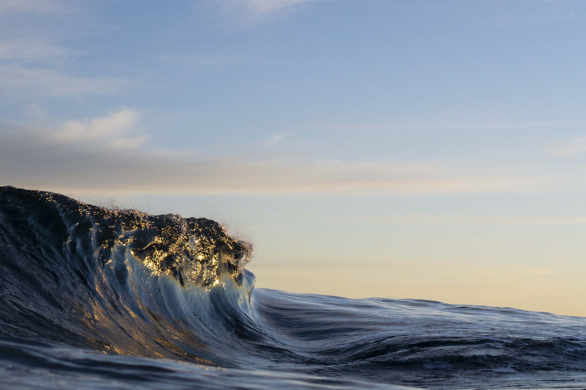 What is the High Seas Treaty and Why Does It Matter? - Ocean Conservancy