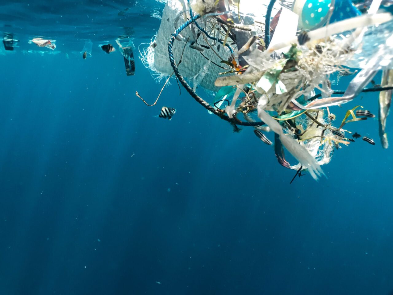 Plastics Research - Ocean Conservancy