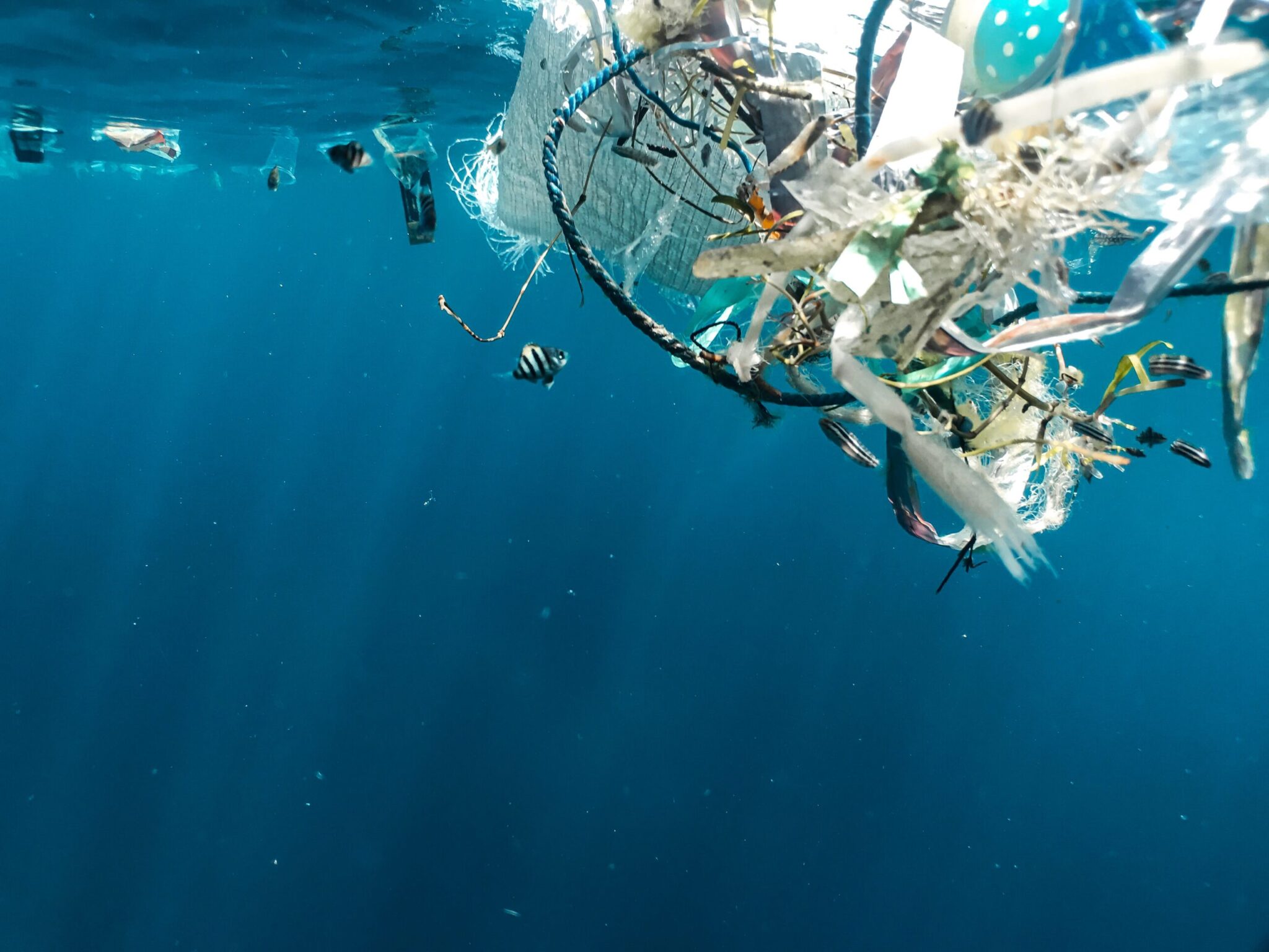 Plastics Research - Ocean Conservancy