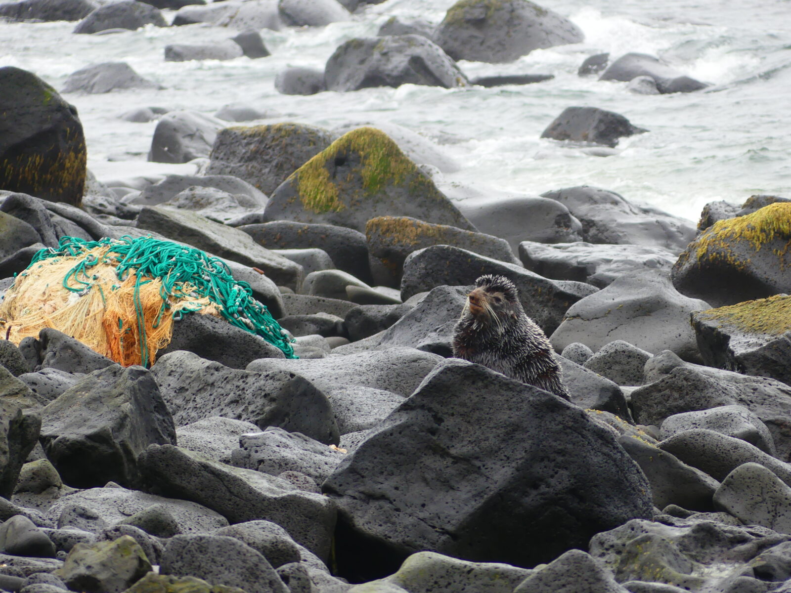 New Report Shows More Than 1.5 Million Pounds of Trash Cleaned Up From ...